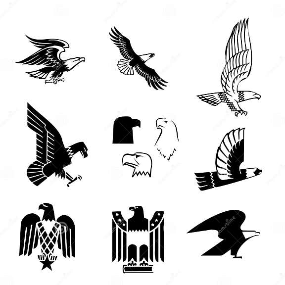 Vector Adler vektor abbildung. Illustration von adler - 9897370