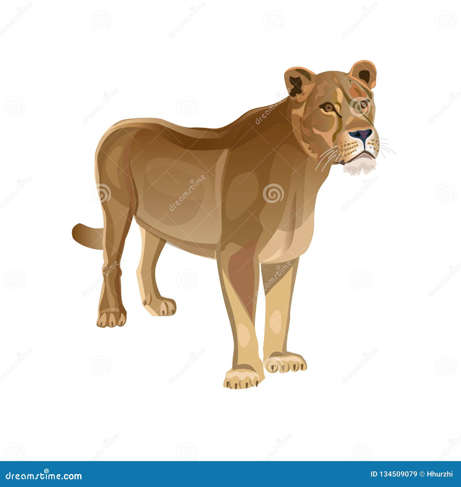 Vector Africano De La Leona Ilustración del Vector - Ilustración de ...