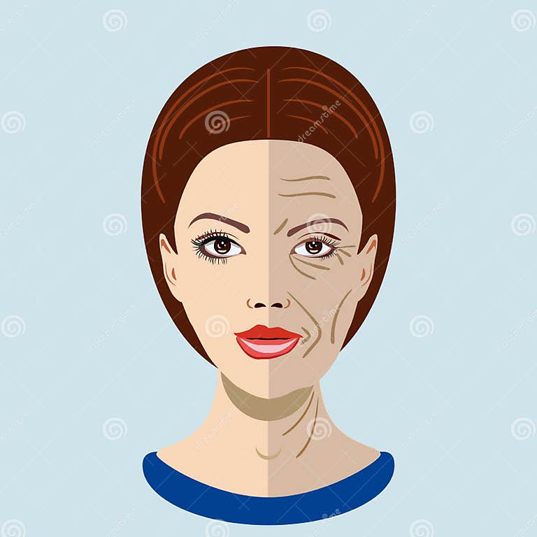 Vector Aging Process, Face with Two Types of Skin, Young and Old Stock ...