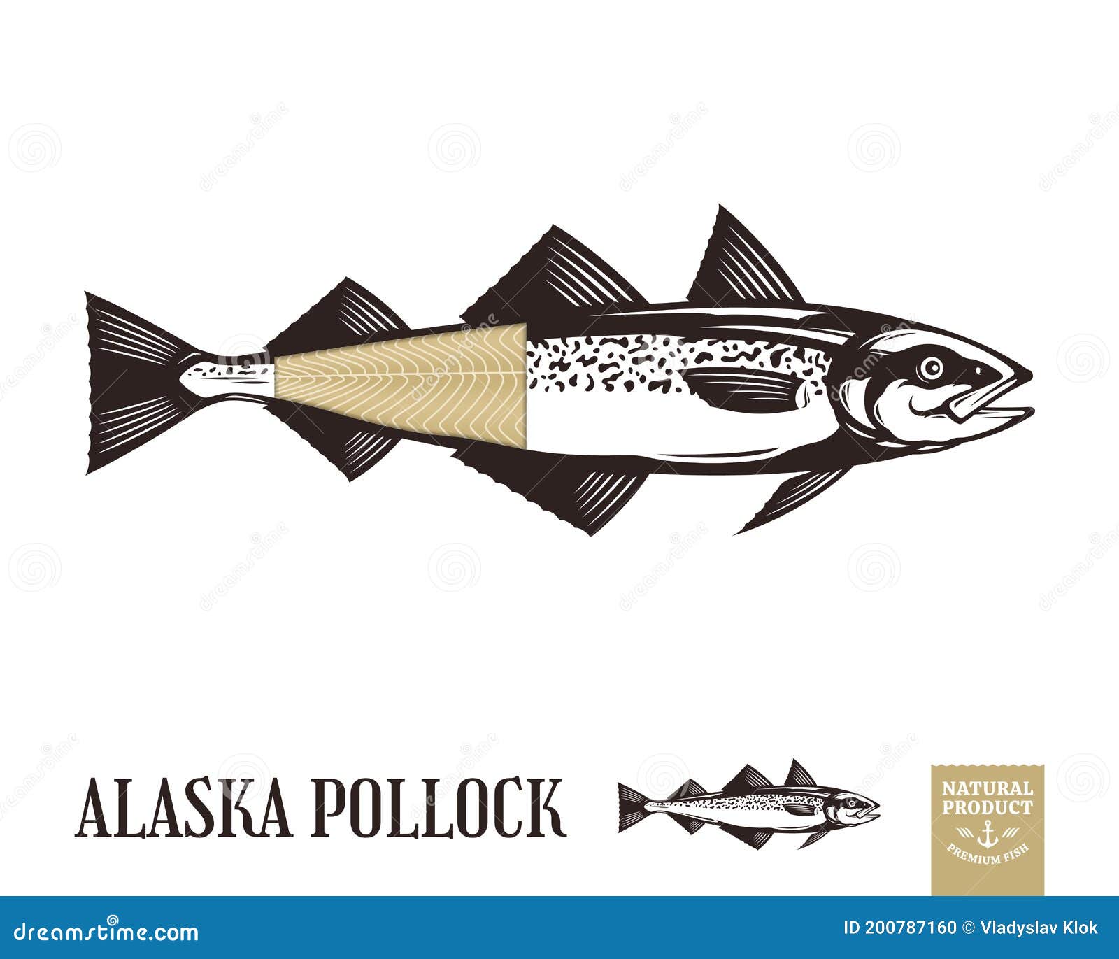 Pollock Fish Freehand Illustration Clip-art Vector Image ...