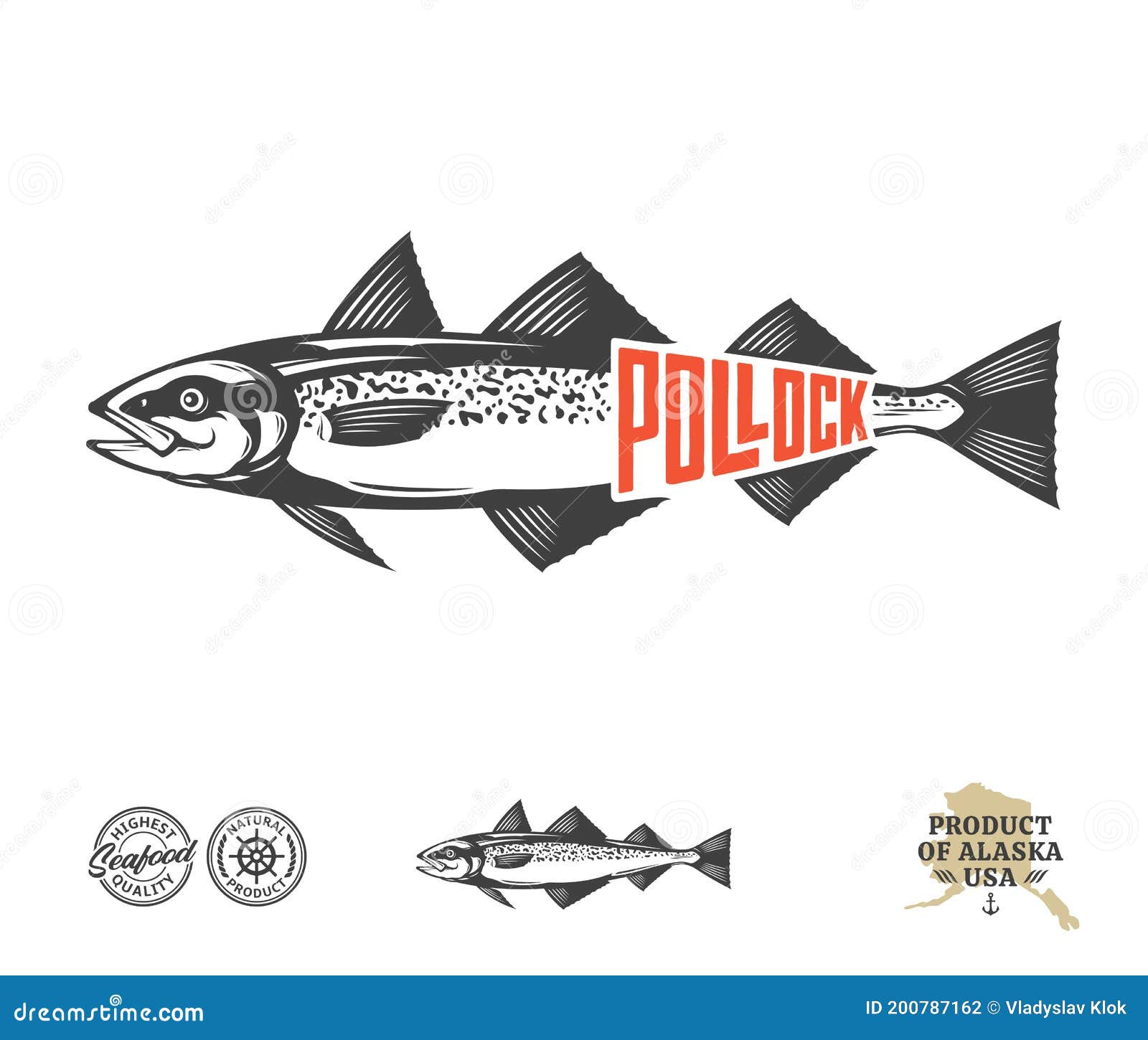 Pollock Logo. Isolated Pollock On White Background Cartoon Vector ...
