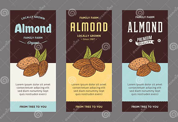 Vector Almond Labels in Modern Style Stock Vector - Illustration of ...