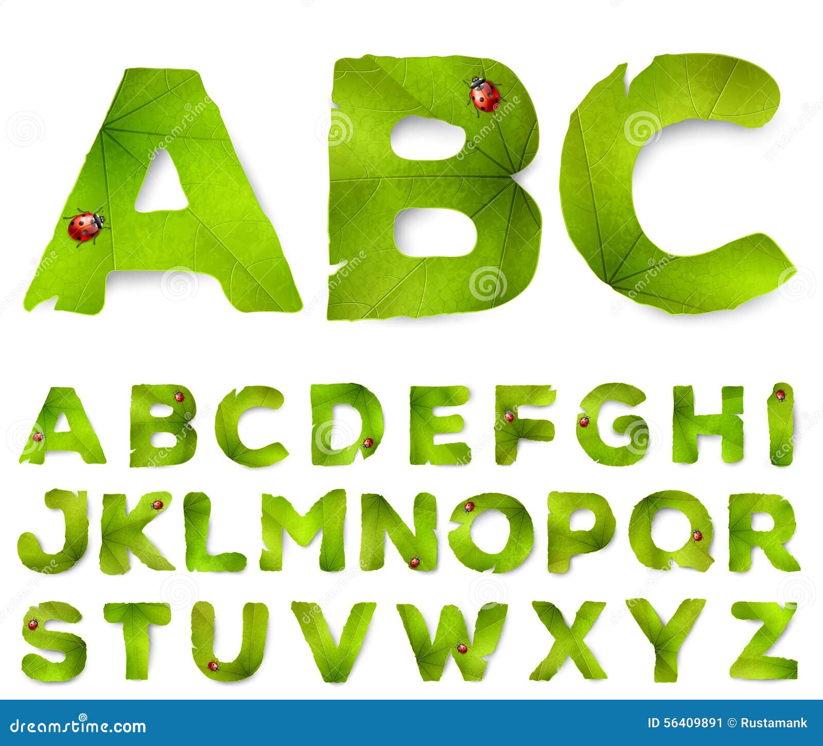 Vector Alphabet Letters Made from Green Leaves Stock Vector ...