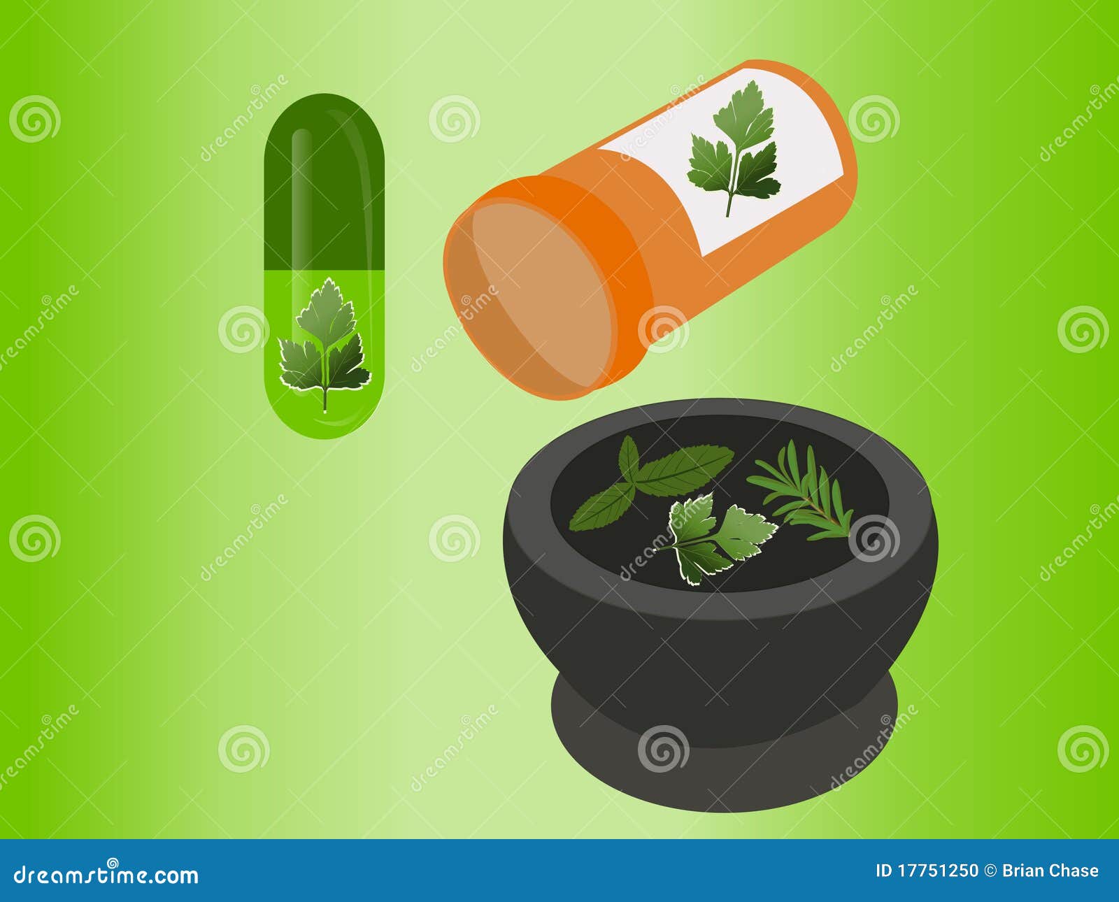 Vector Alternative Medicine Stock Vector - Illustration of mint, fresh ...