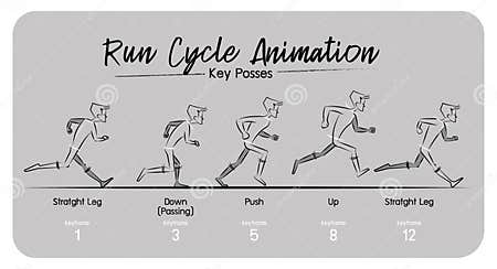 Run Cycle Steps Basic for Animation. Stock Illustration - Illustration ...