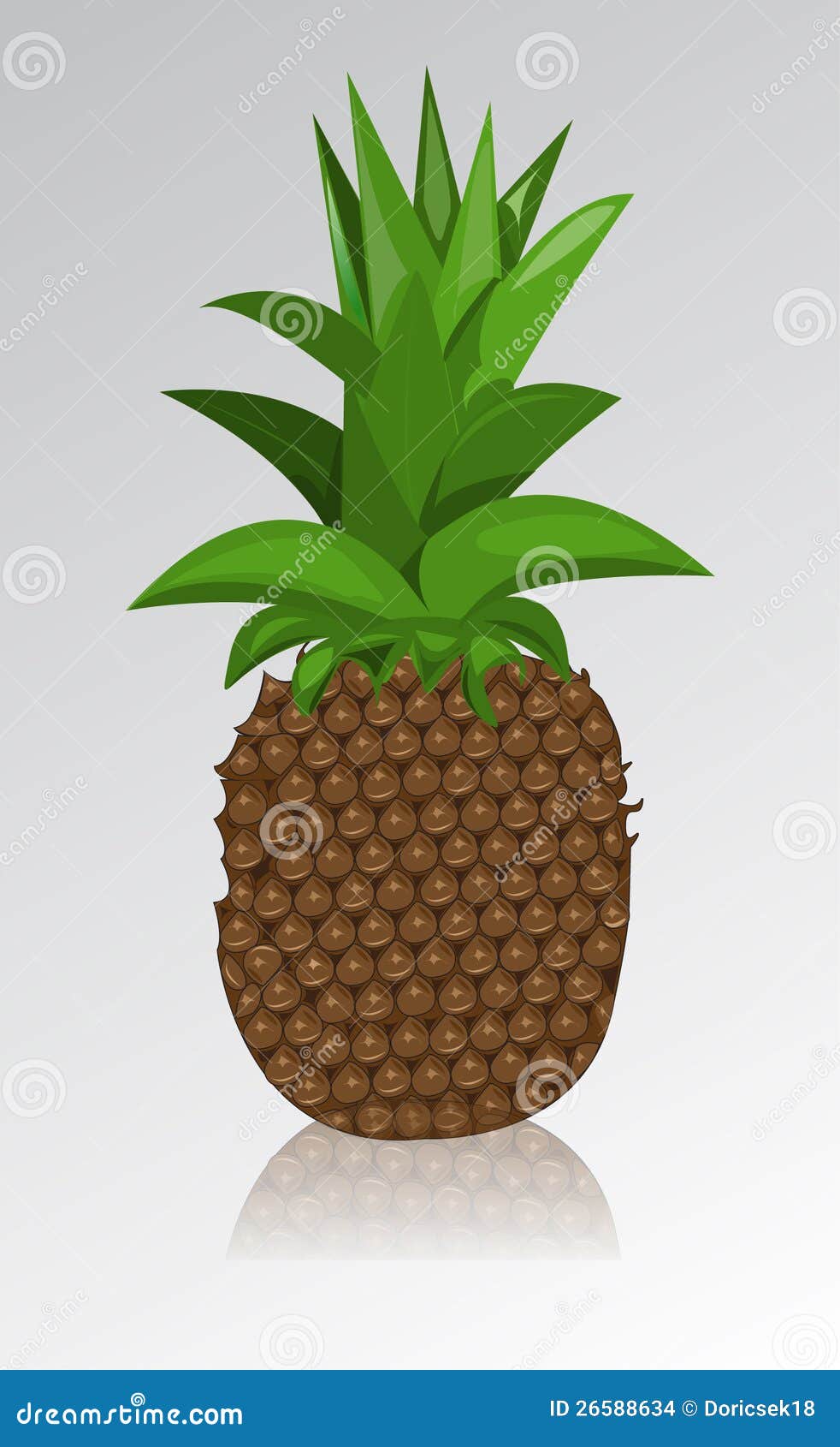 Vector ananas vector illustratie. Illustration of tekening - 26588634