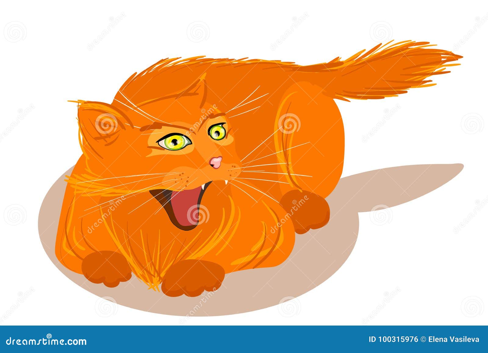 Vector Angry Red Cat Isolated Stock Vector - Illustration of adult ...