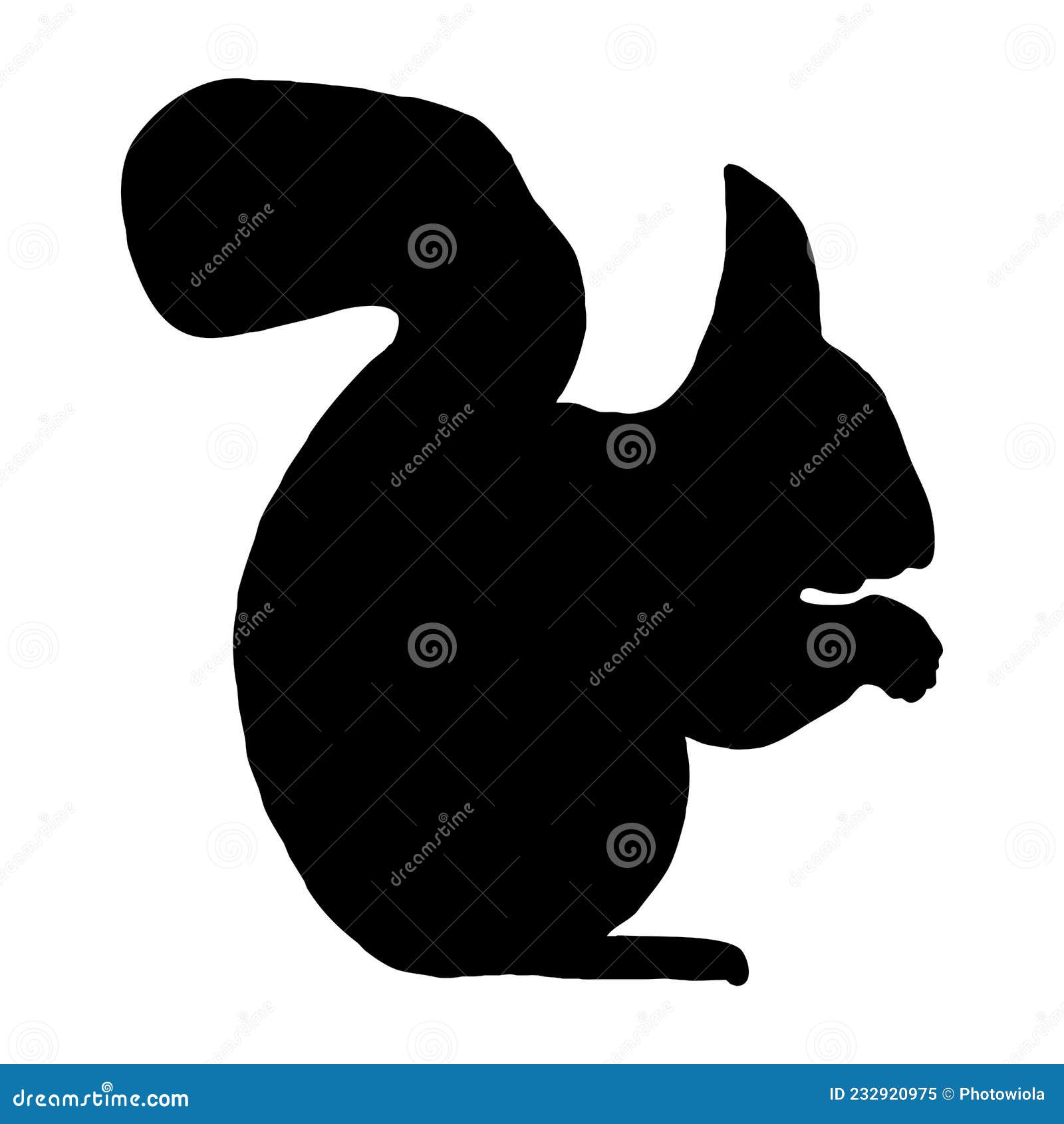 Black Squirrel on a White Background. Stock Vector - Illustration of ...
