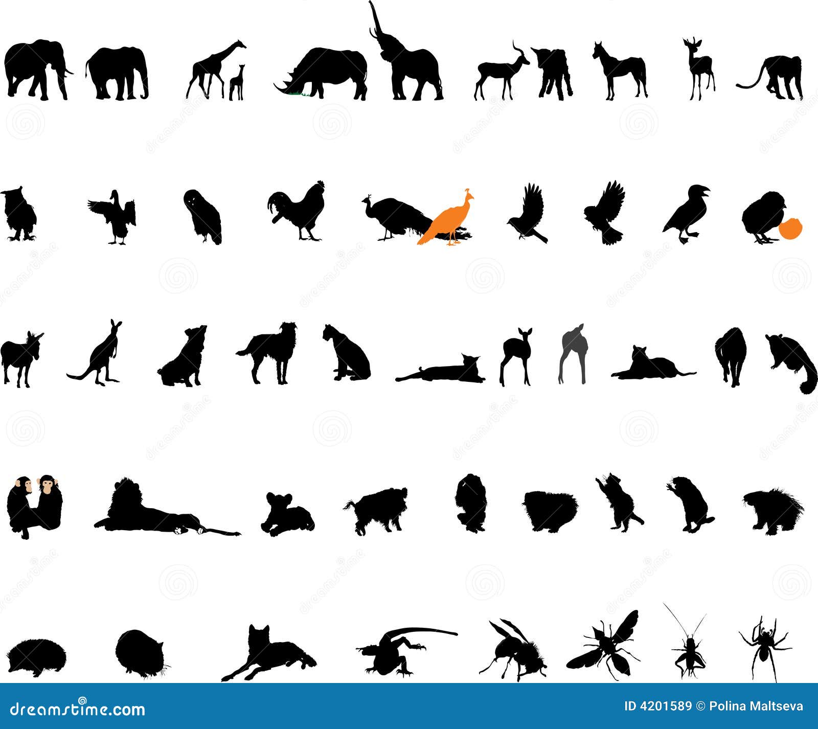 Vector Animals stock vector. Illustration of pretty, goat - 4201589