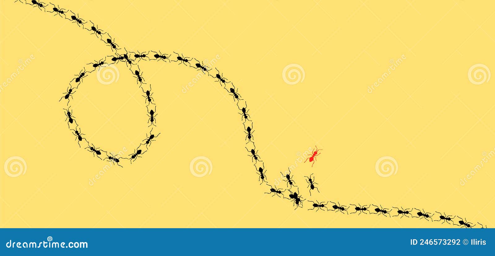 Vector Ants Seamless Pattern Stock Vector - Illustration of pattern ...