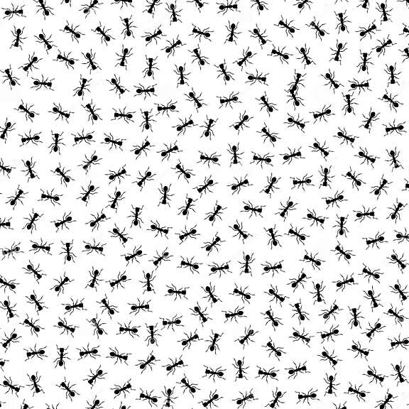 Vector ants - texture stock vector. Illustration of explore - 8976734