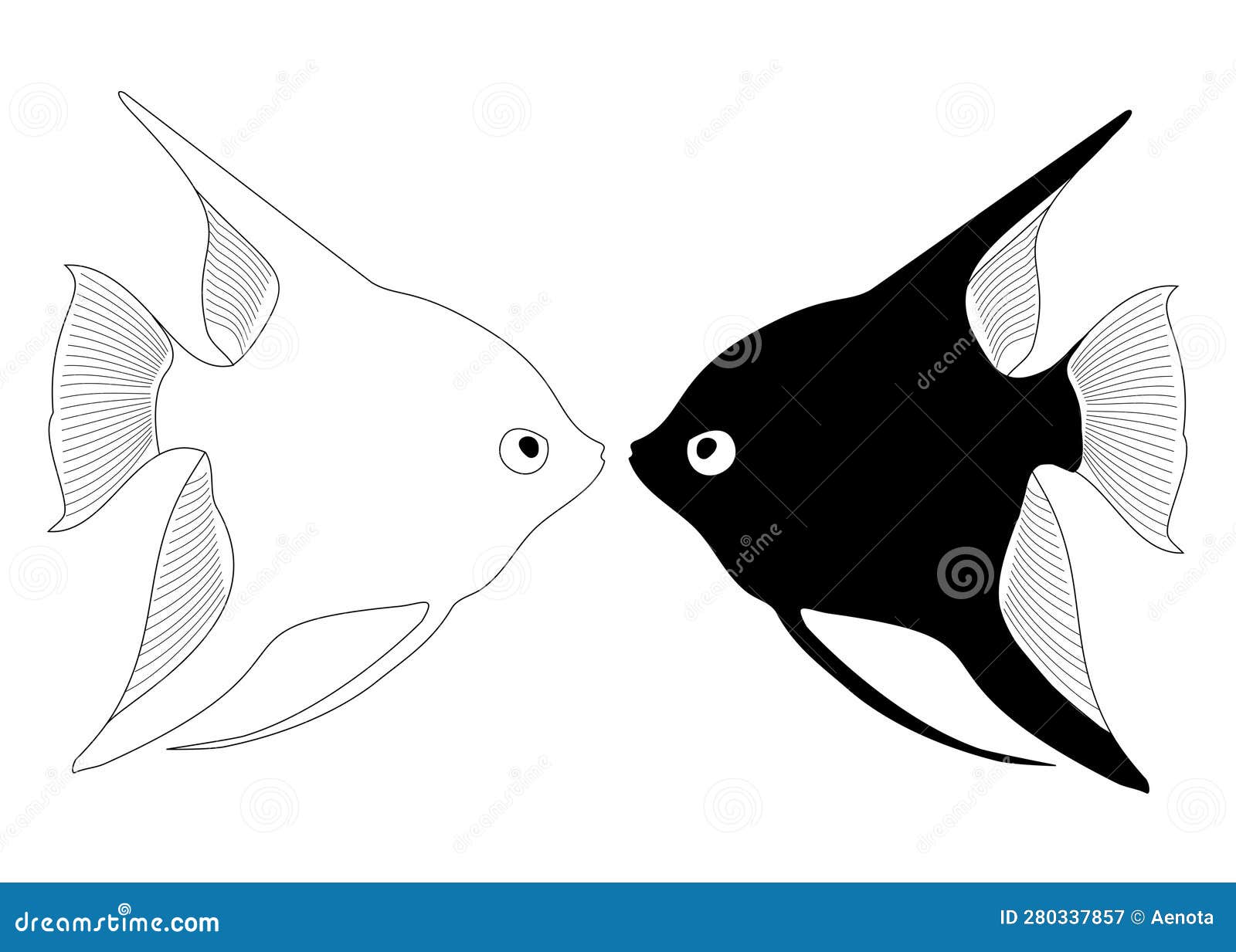 Vector Aquarium Fish Angelfish Stock Vector - Illustration of white ...