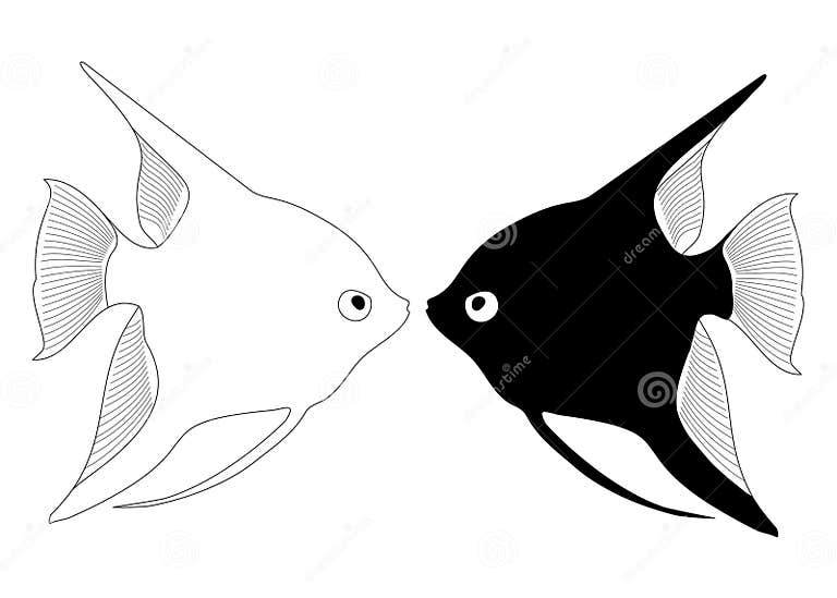 Vector Aquarium Fish Angelfish Stock Vector - Illustration of white ...