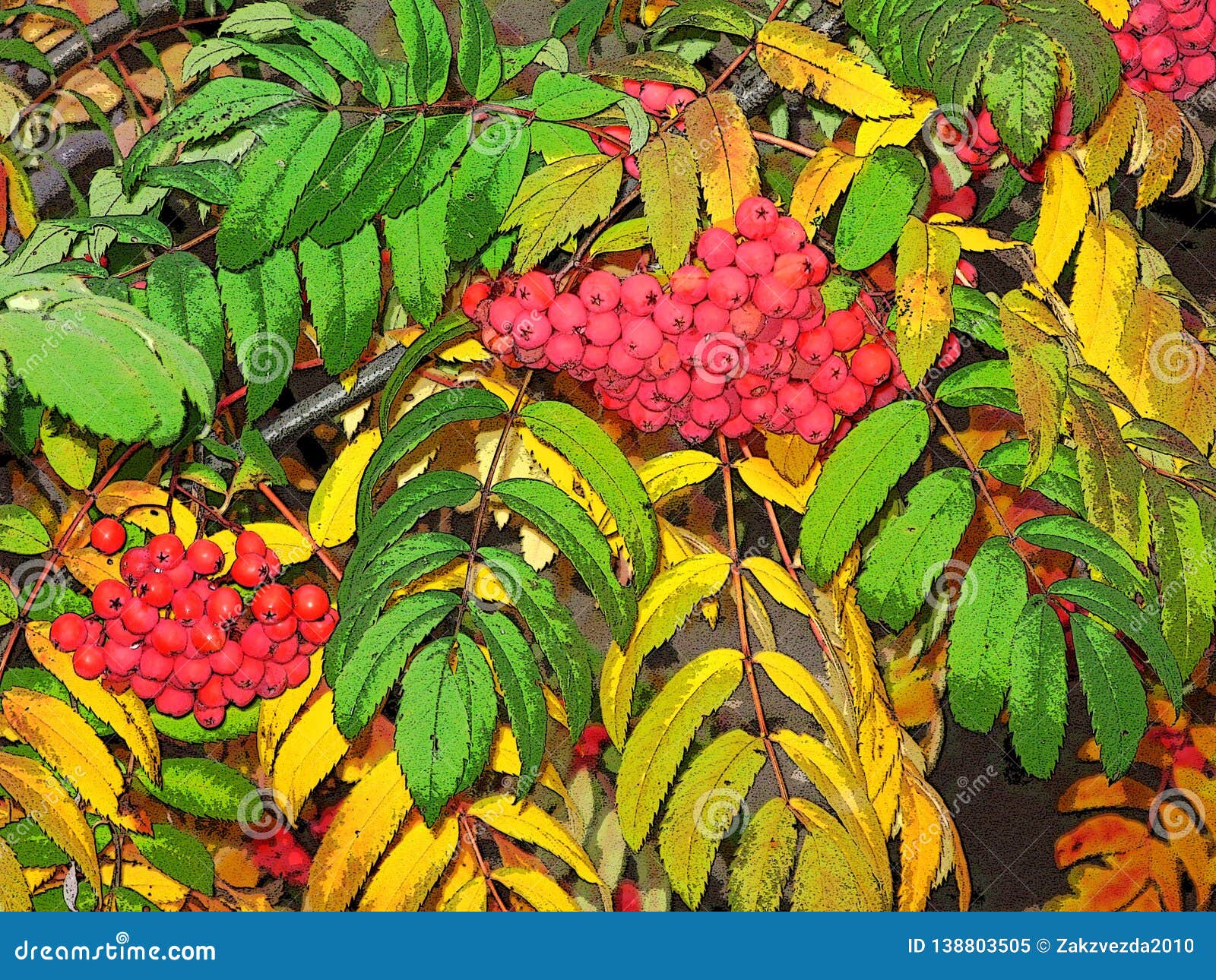 Ashberry Logo Template. Rowanberry Line Elegant Vector Design ...