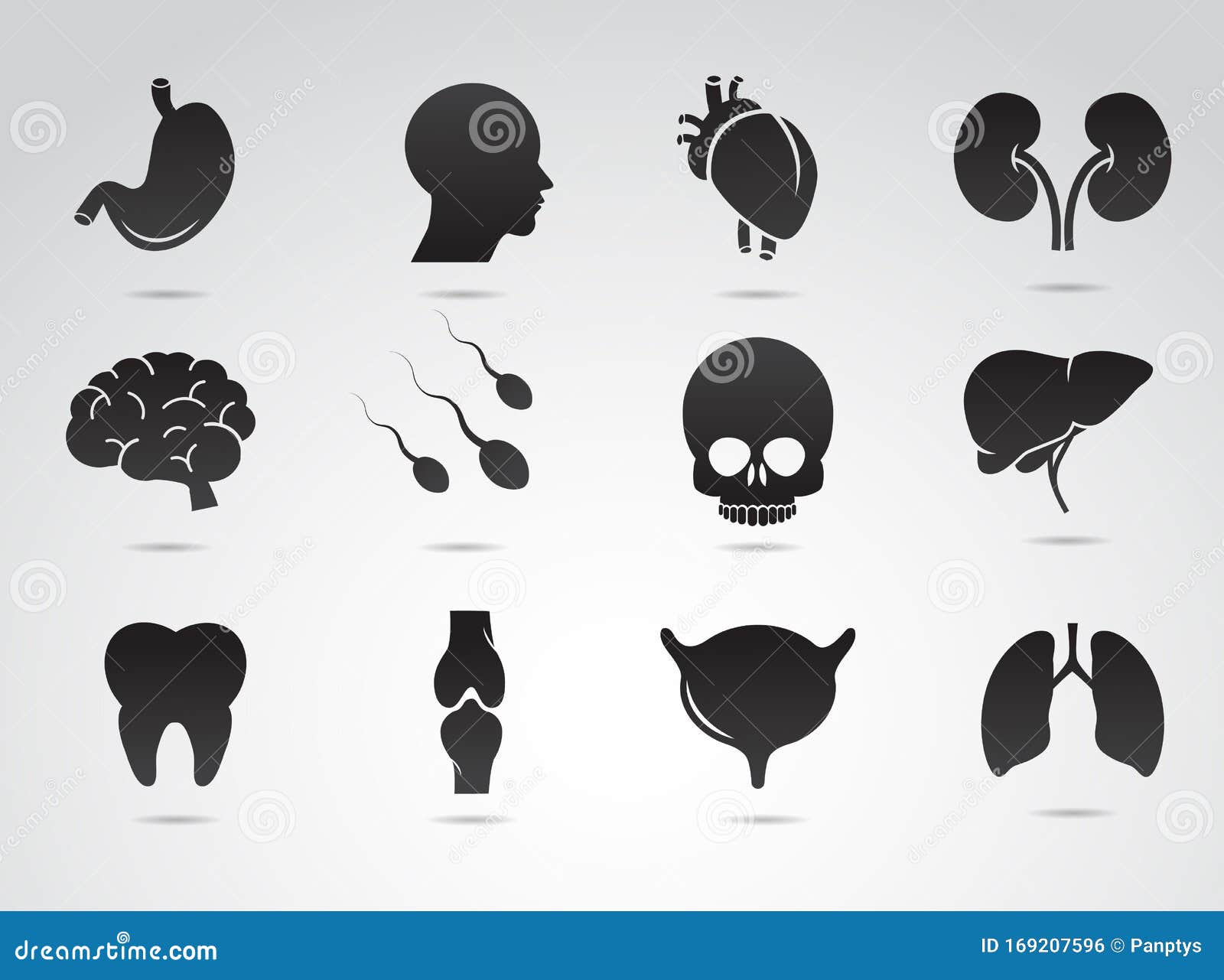 Body Parts Vector Icon Set. Stock Vector - Illustration of front, hand ...