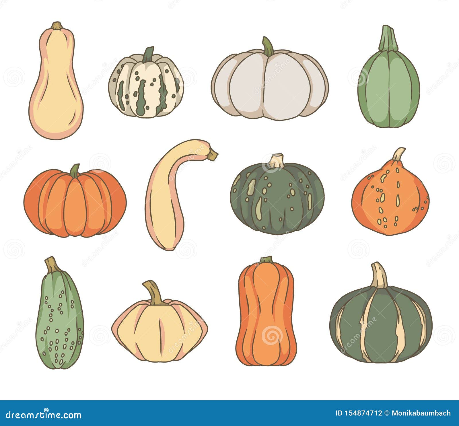 Vector Art Collection of Different Kinds of Squash and Pumpkin ...