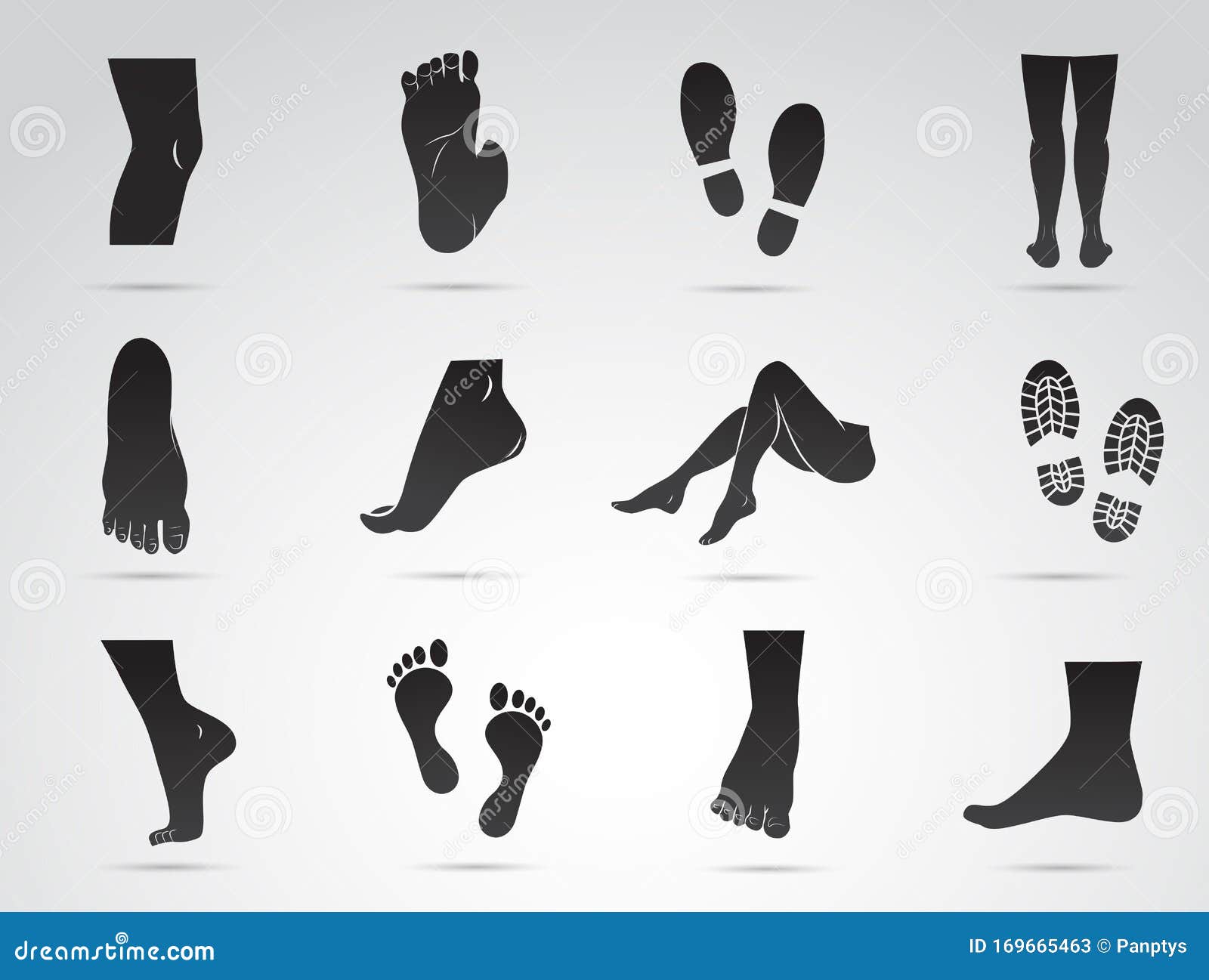 Human Legs Vector Icon Set on White Background. Stock Vector ...