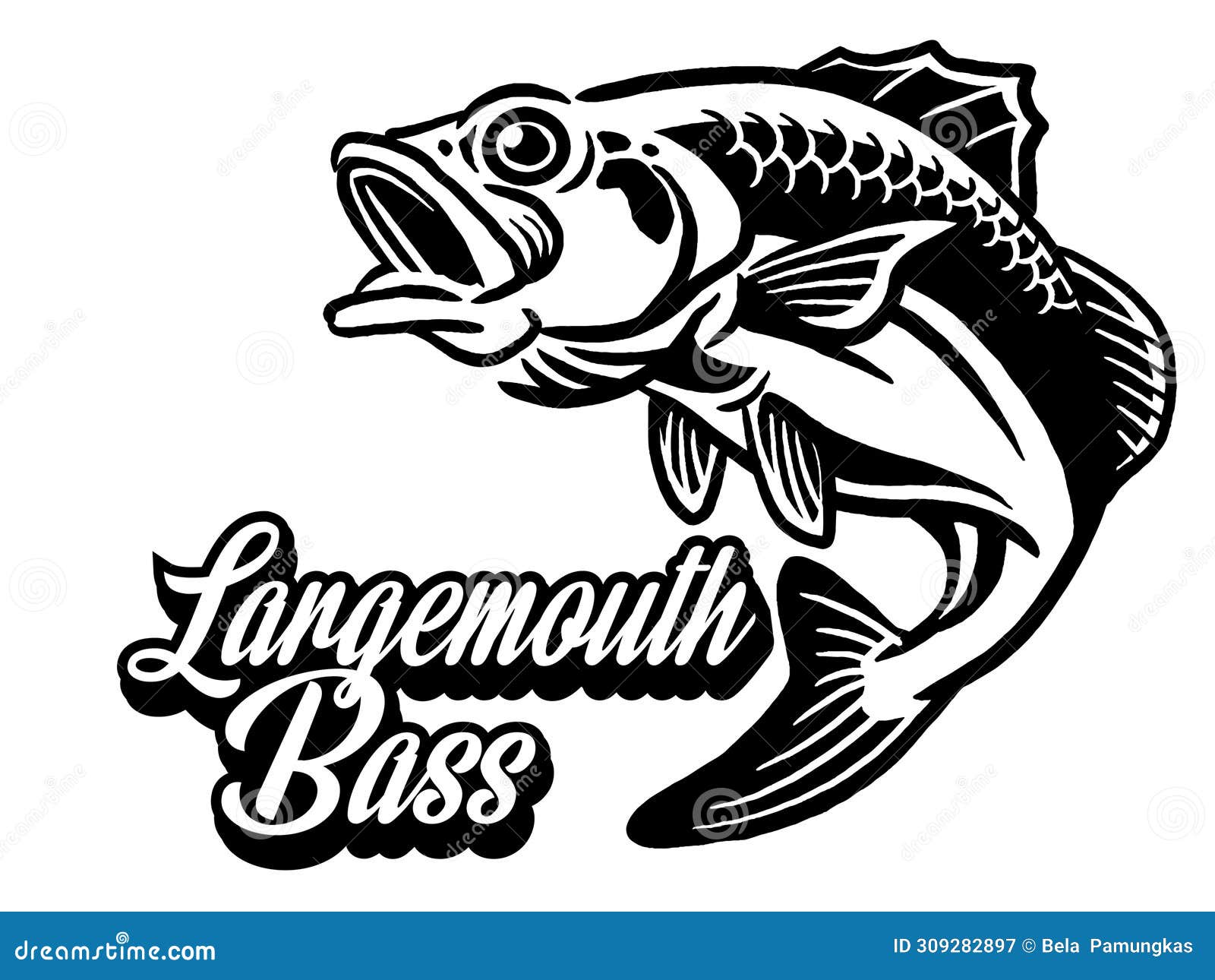 Black and White of Largemouth Bass Fish Stock Vector - Illustration of lure, predator: 309282897