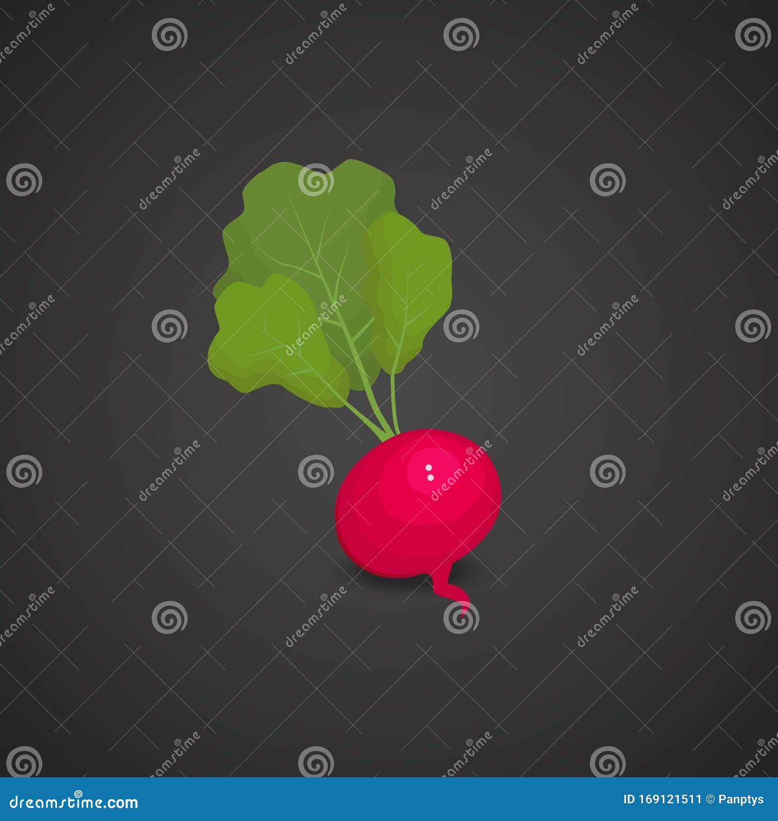 Radish Realistic Vector Icon. Stock Vector - Illustration of natural ...