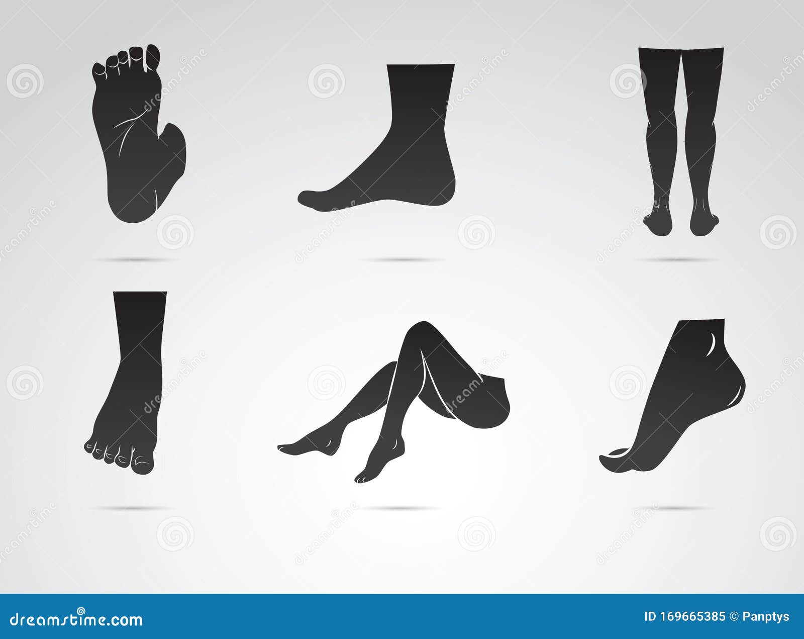 Woman Legs Vector Icon on White Background. Stock Vector - Illustration ...