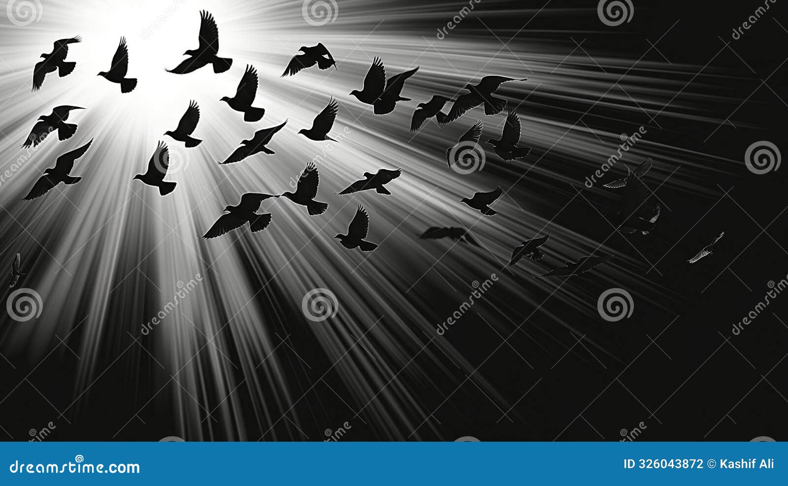 Vector Artwork of Abstract Flock of Birds in Minimalist Black and White ...