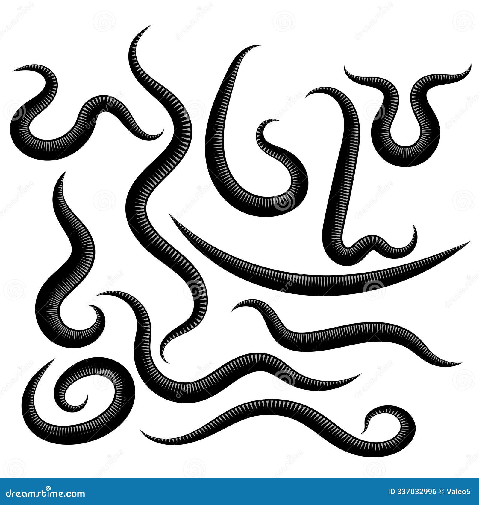 Vector Ascarid, Helminth, Pinworm, Threadworm. Set of Parasite Isolated ...