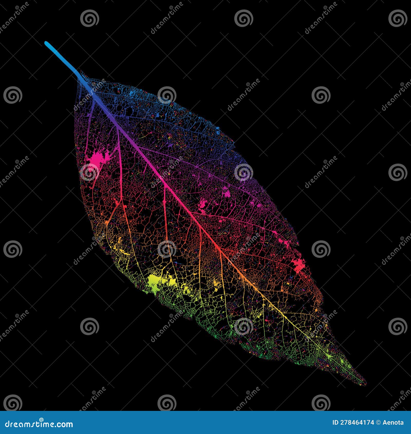 Vector Ash Leaf Structure Skeletons Stock Vector - Illustration of ...