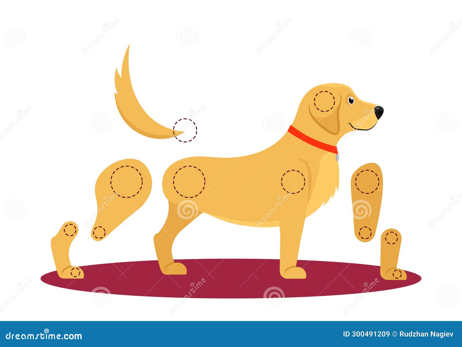 Vector Assets To Animate Cute Dog Stock Vector - Illustration of ...