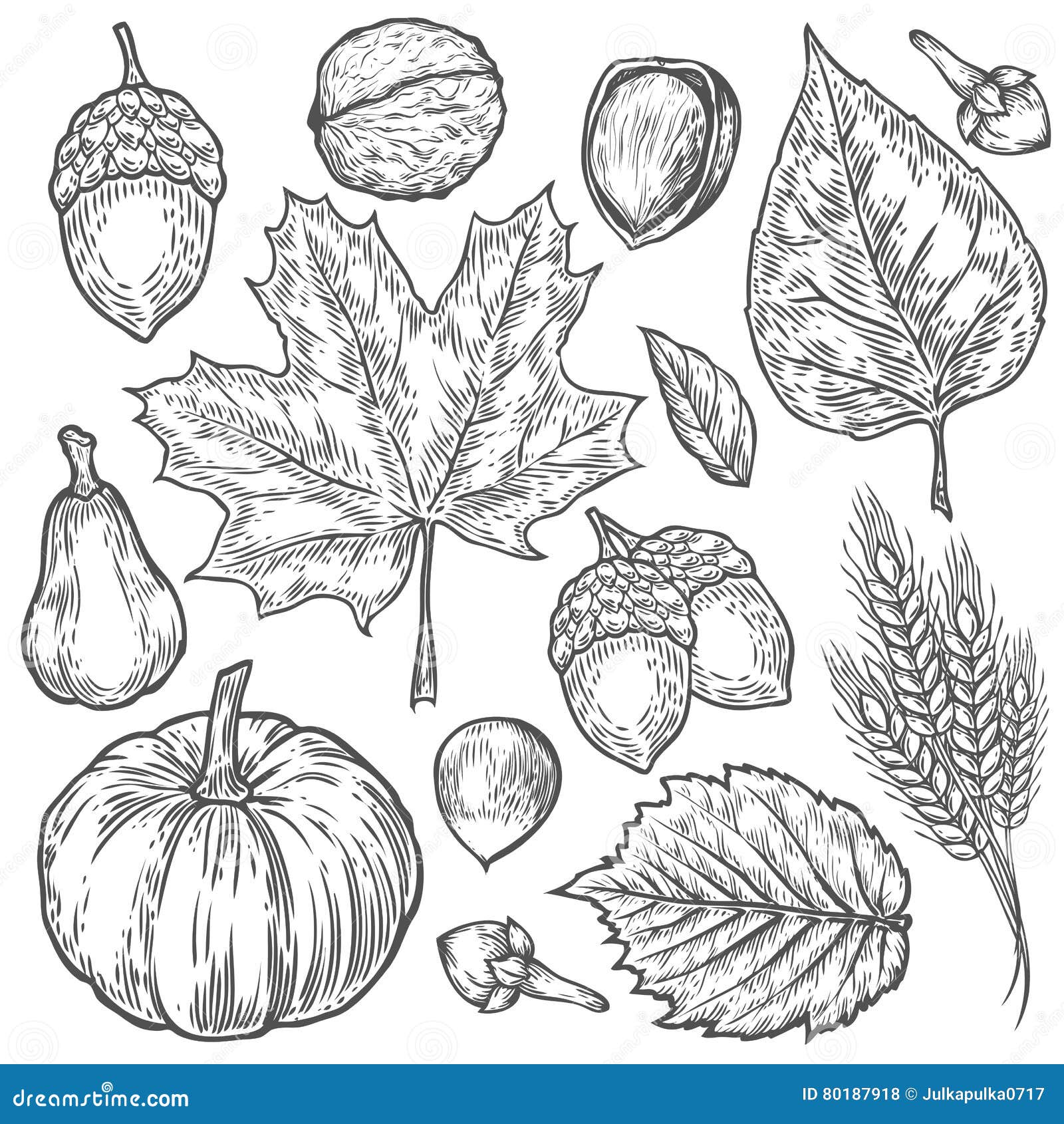 Leaf Walnut Stock Illustrations – 4,399 Leaf Walnut Stock Illustrations ...
