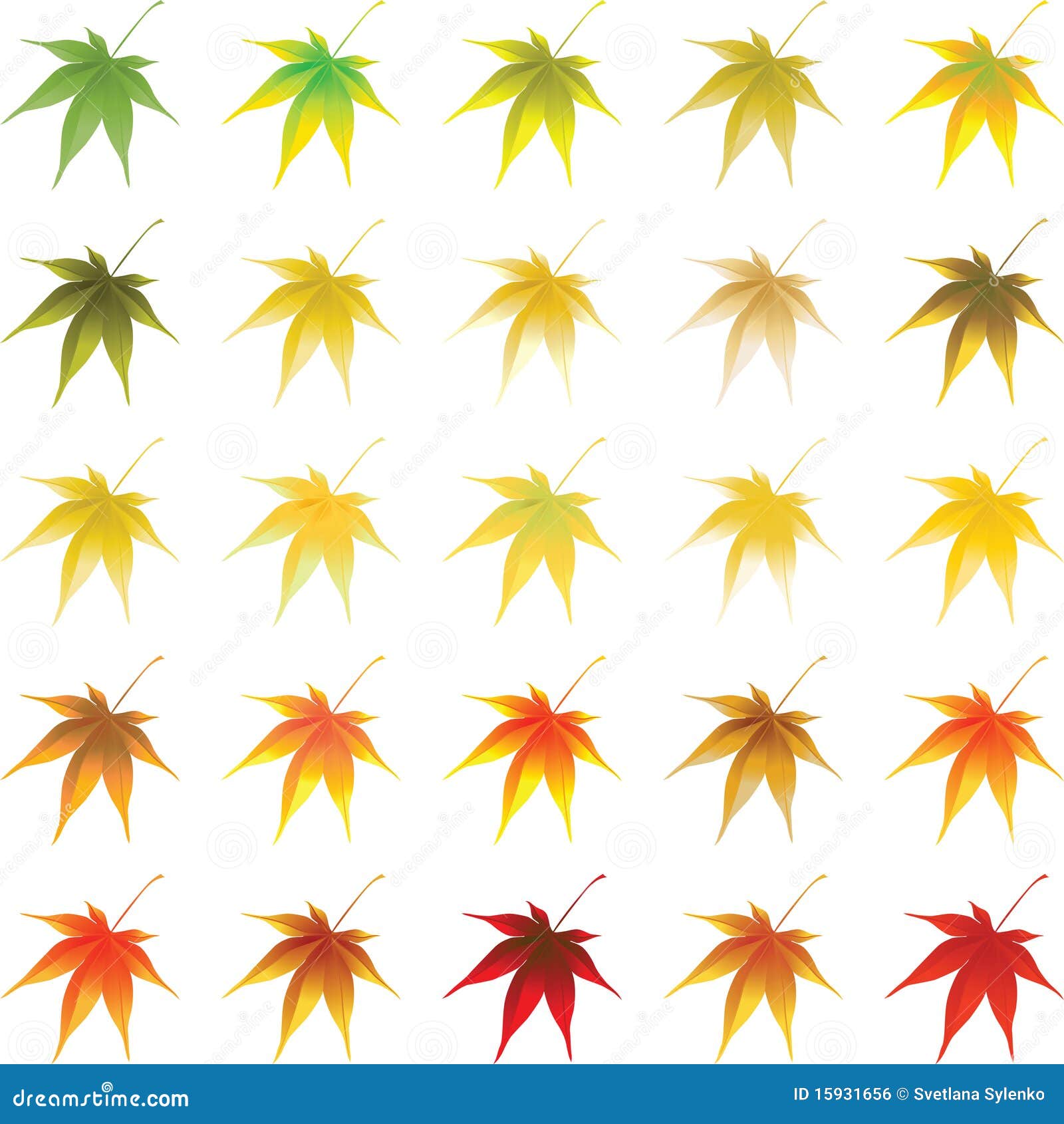 Vector autumn leaves stock vector. Illustration of maple - 15931656