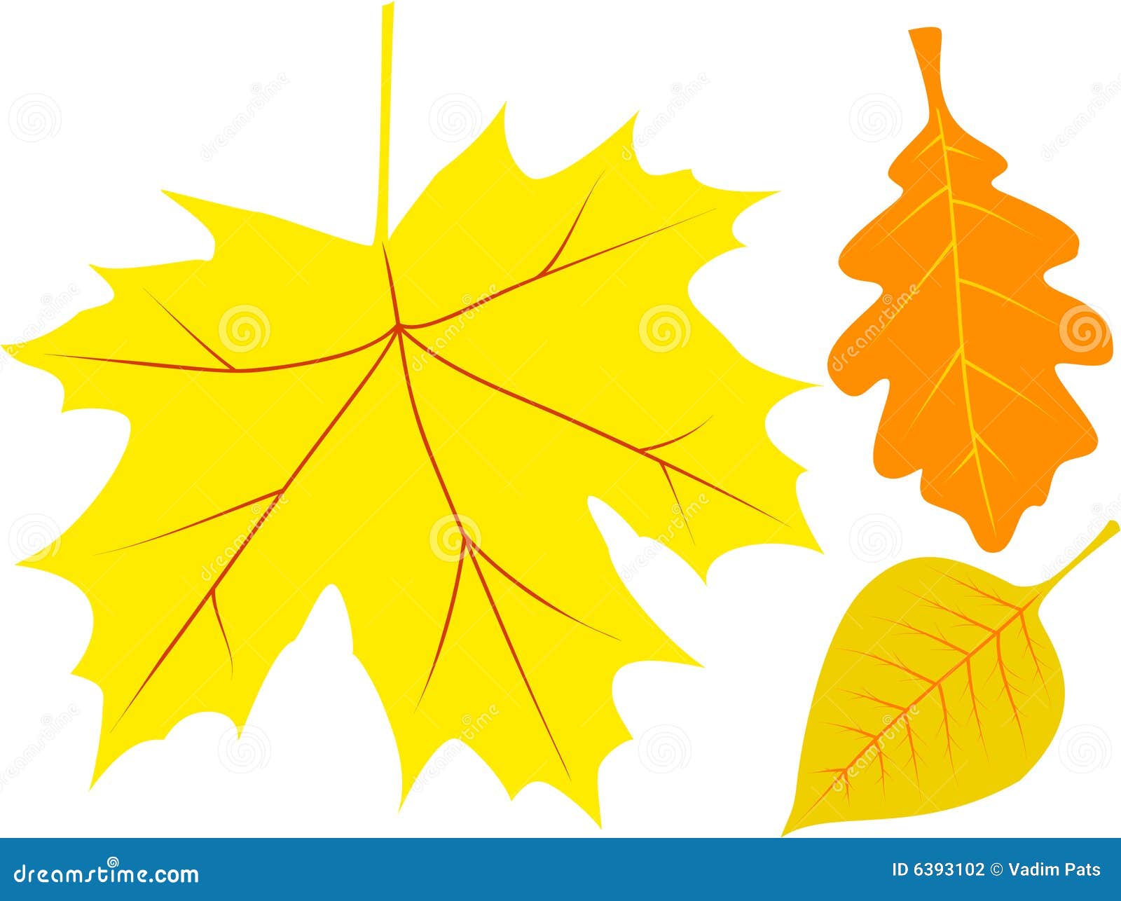 Vector autumn leaves stock vector. Illustration of white - 6393102