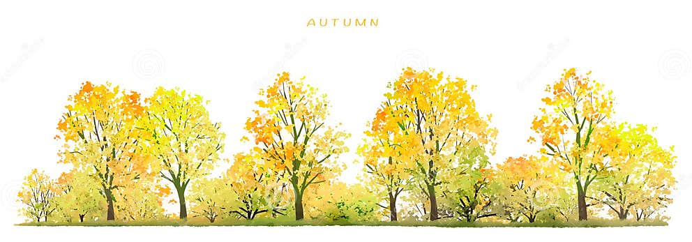 Vector of Autumn Tree or Forest Side View Isolated on White Background ...