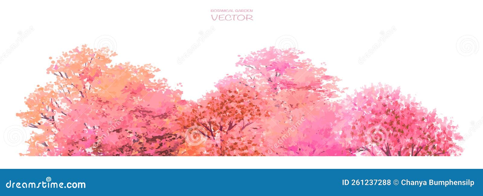 Vector of Autumn Tree or Forest Side View Isolated on White Background ...