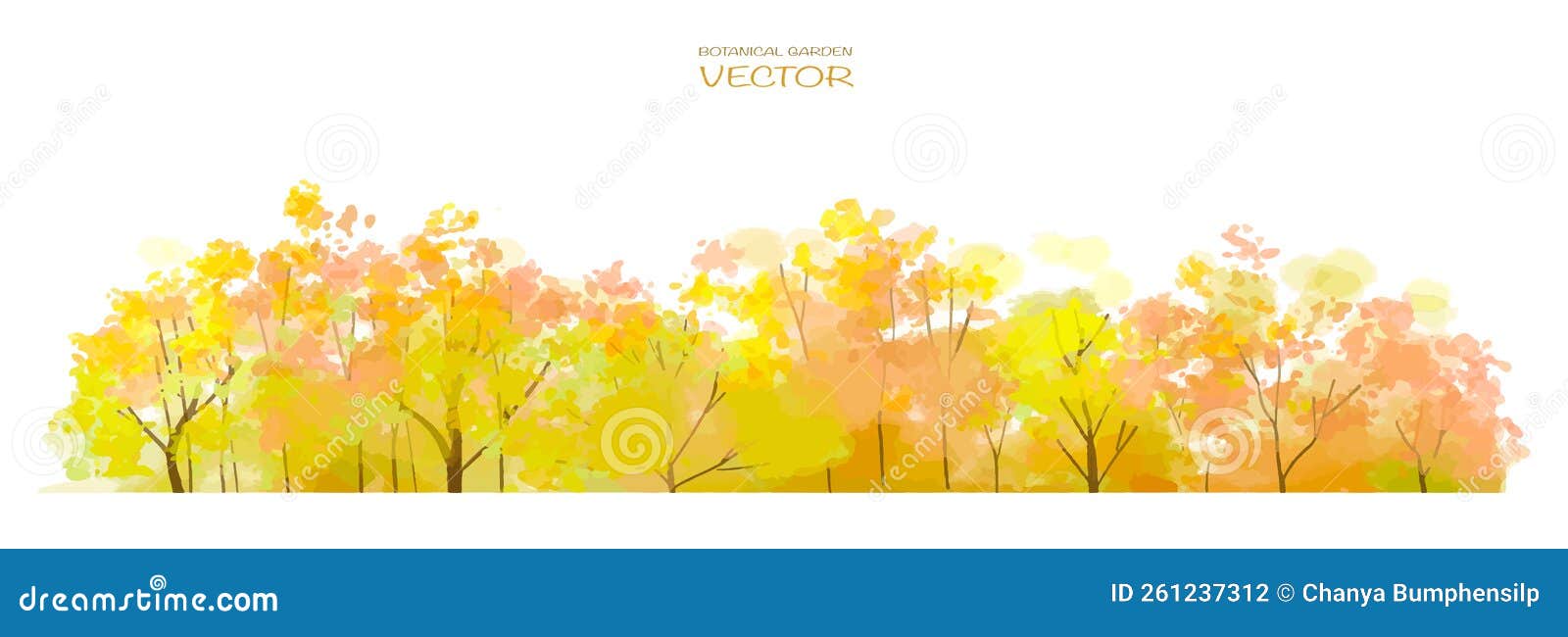 Vector of Autumn Tree or Forest Side View Isolated on White Background ...