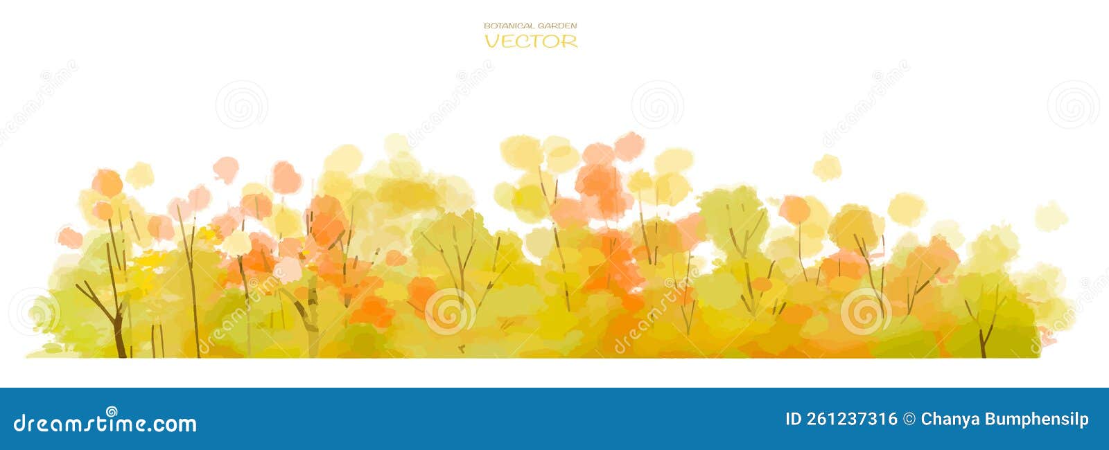 Vector of Autumn Tree or Forest Side View Isolated on White Background ...