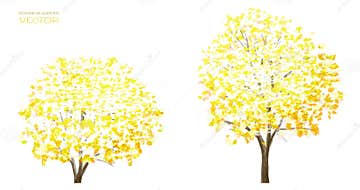 Vector of Autumn Tree or Forest Side View Isolated on White Background ...