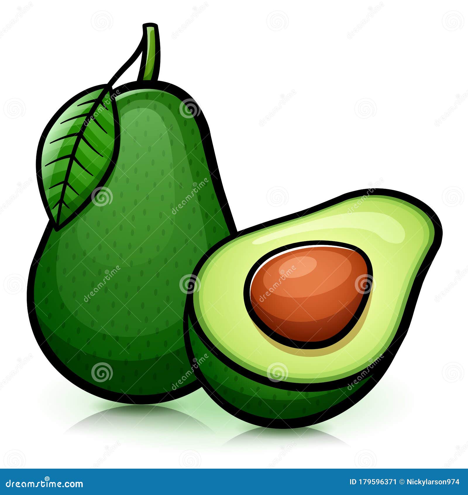Avocado Illustration
