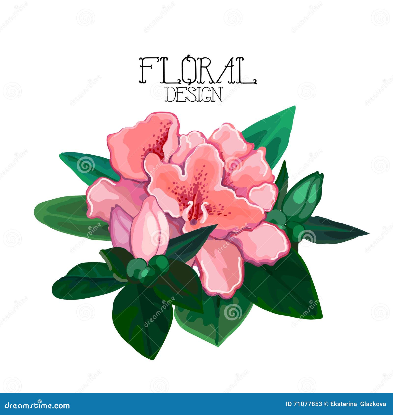 Vector azalea vignette stock vector. Illustration of decorative - 71077853