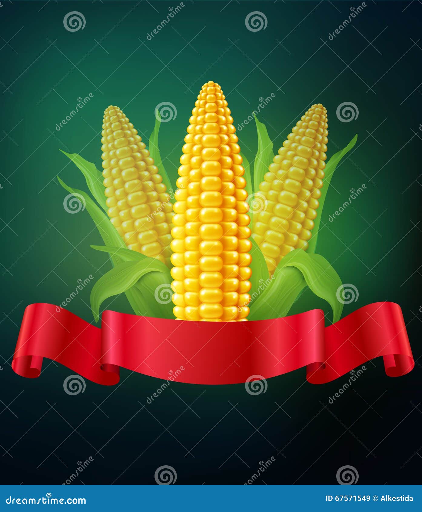Vector Background With Cobs Of Corn And Red Ribbon | CartoonDealer.com ...
