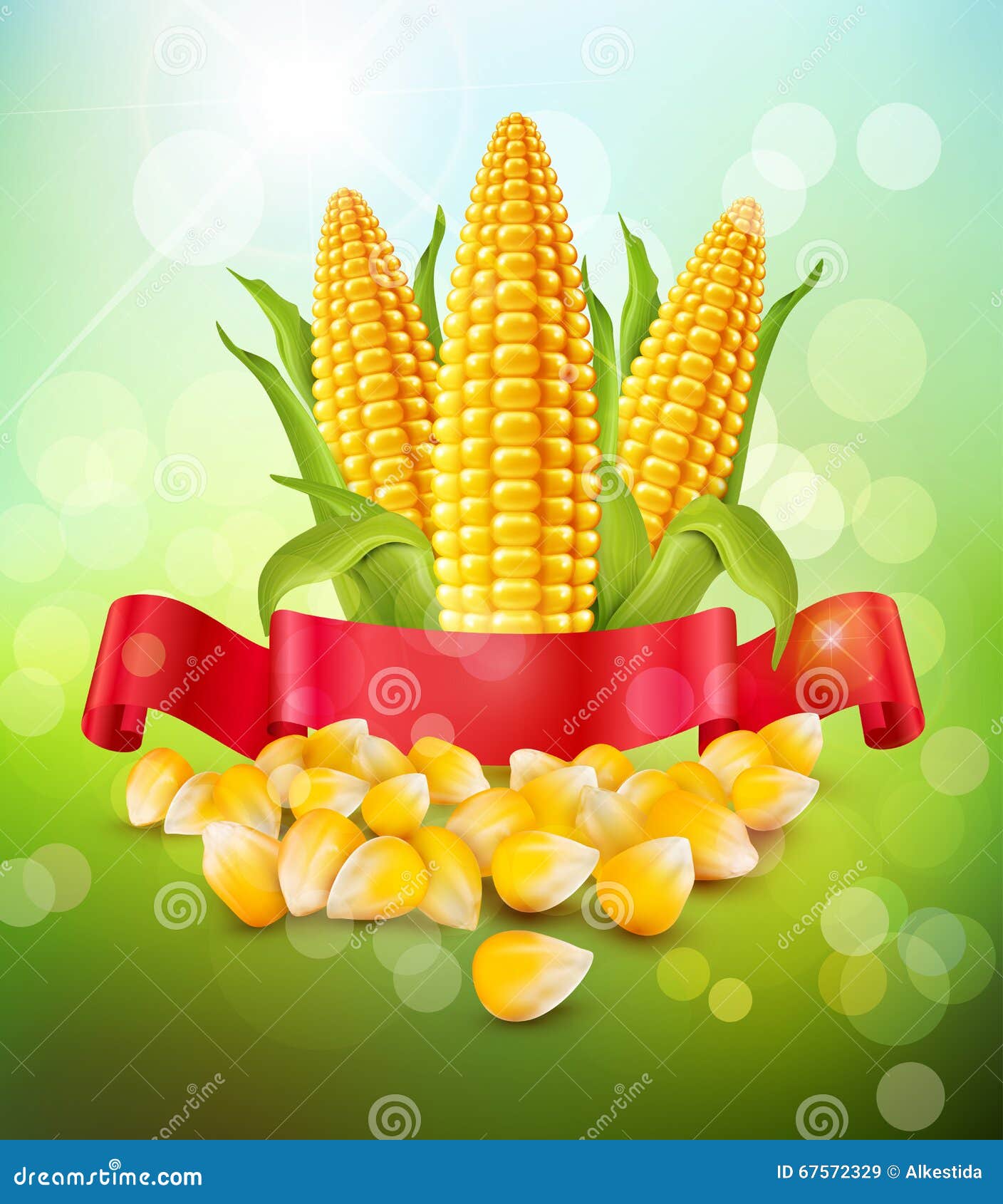 Vector Background with Grains and Cobs of Corn and Red Ribbon Stock ...