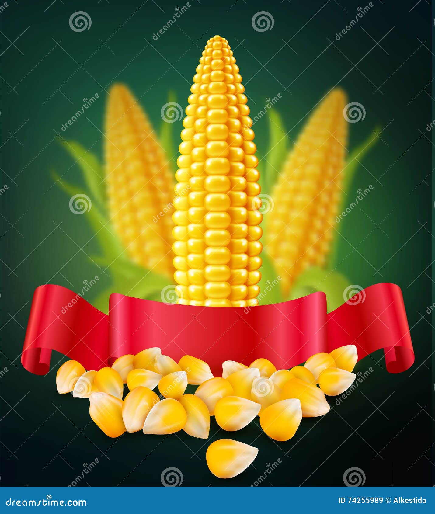 Vector Background with Grains and Cobs of Corn and Red Ribbon Stock ...