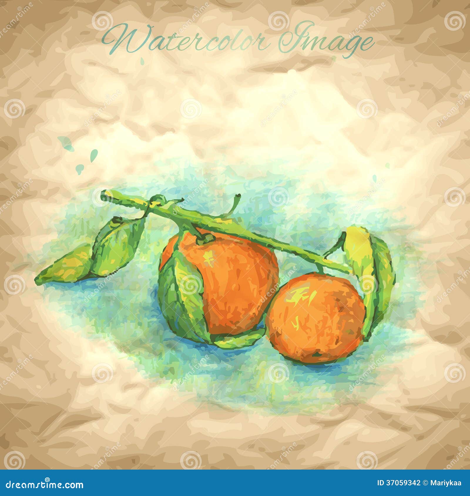 Vector Background with Hand Drawing Mandarin Stock Vector ...
