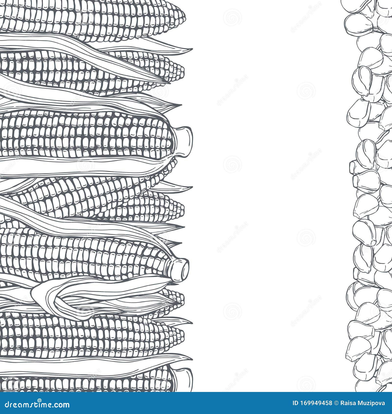 Vector Background with Corn. Sketch Illustration Stock Vector ...