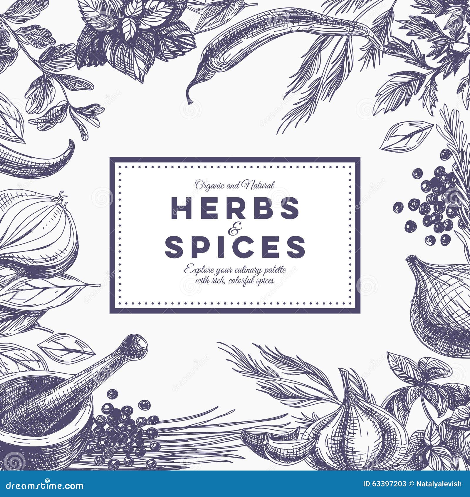 Vector Background with Hand Drawn Herbs and Spices Stock Vector ...
