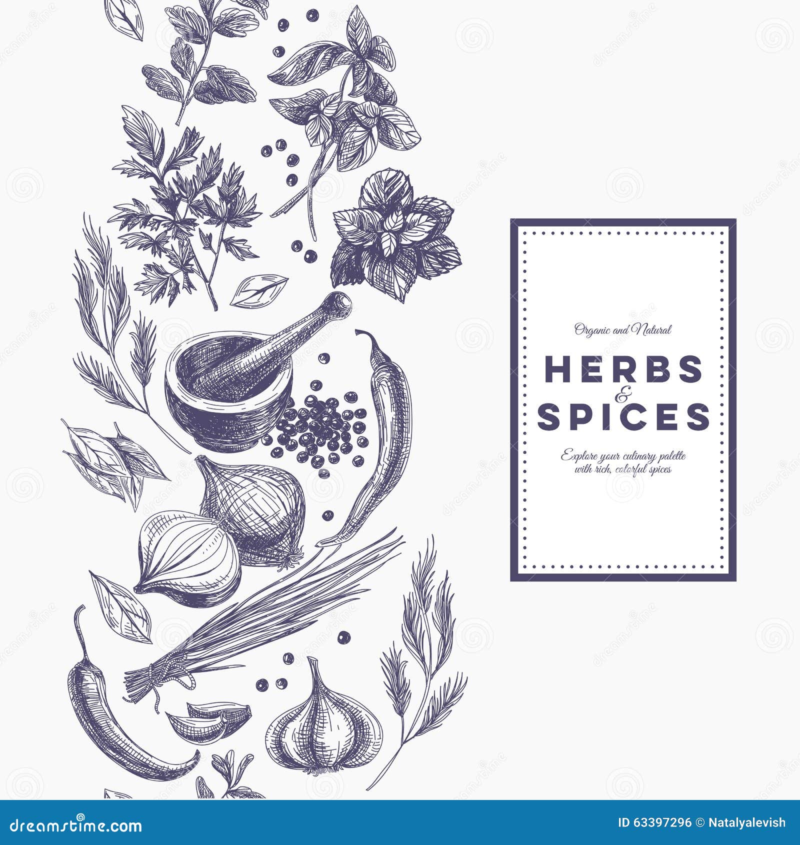 Vector Background with Hand Drawn Herbs and Spices Stock Vector ... Vector Background with Hand Drawn Herbs and Spices Stock Vector ...