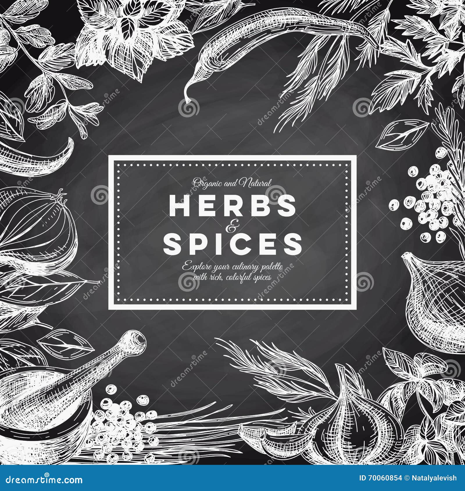 Vector Background with Hand Drawn Herbs and Spices. Stock Vector ...