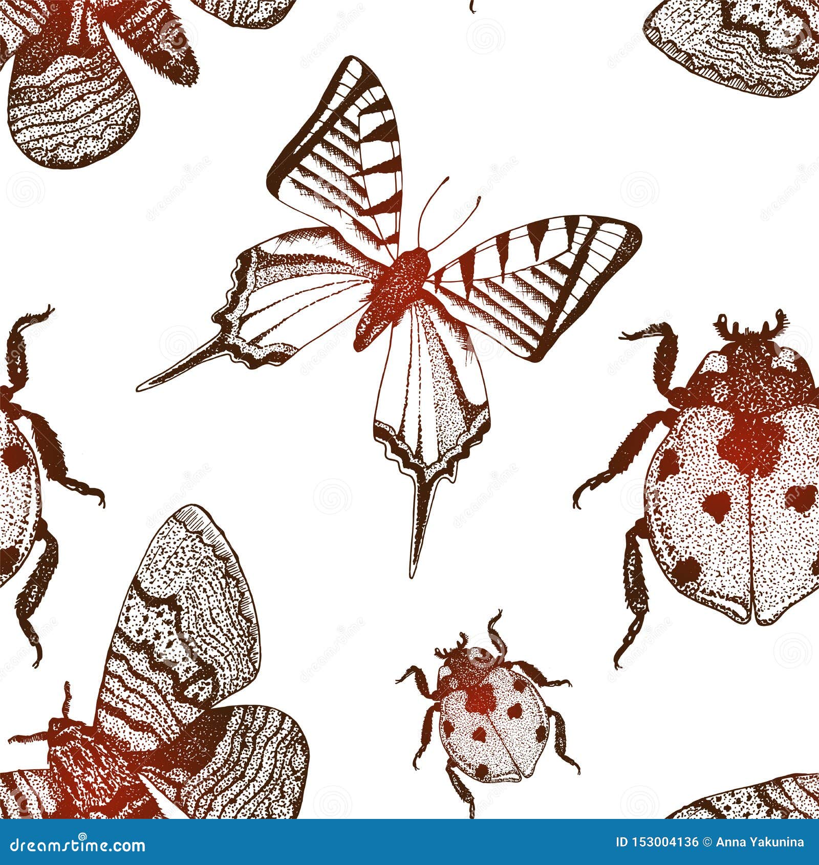 Vector Background with Hand Drawn Insect Illustrations Stock Vector ...