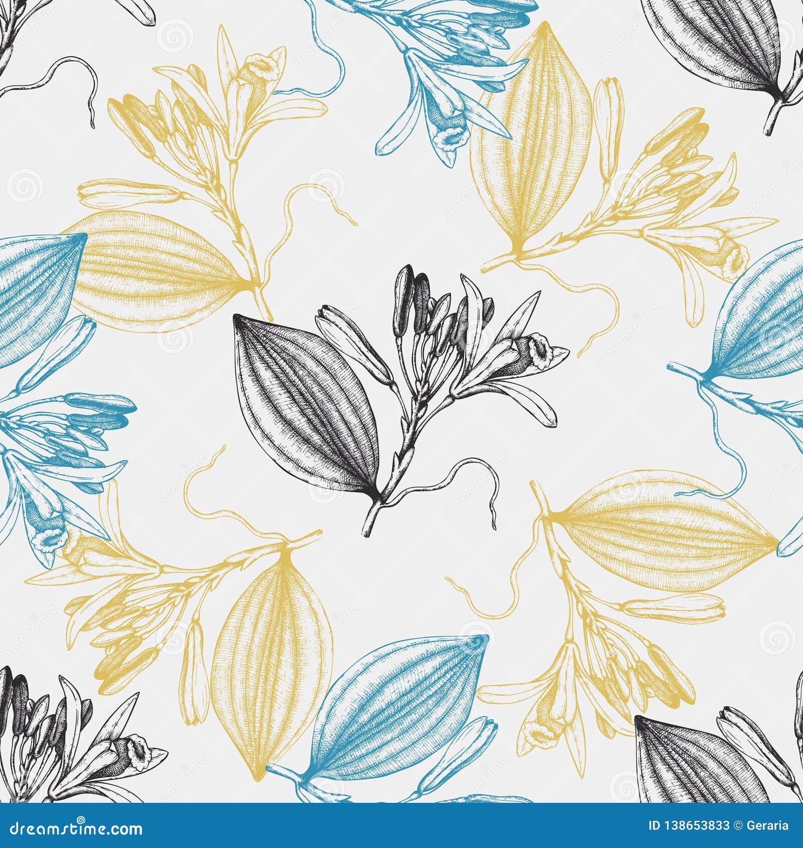 Vector Background with Hand Drawn Vanilla Illustration. Aromatic and ...