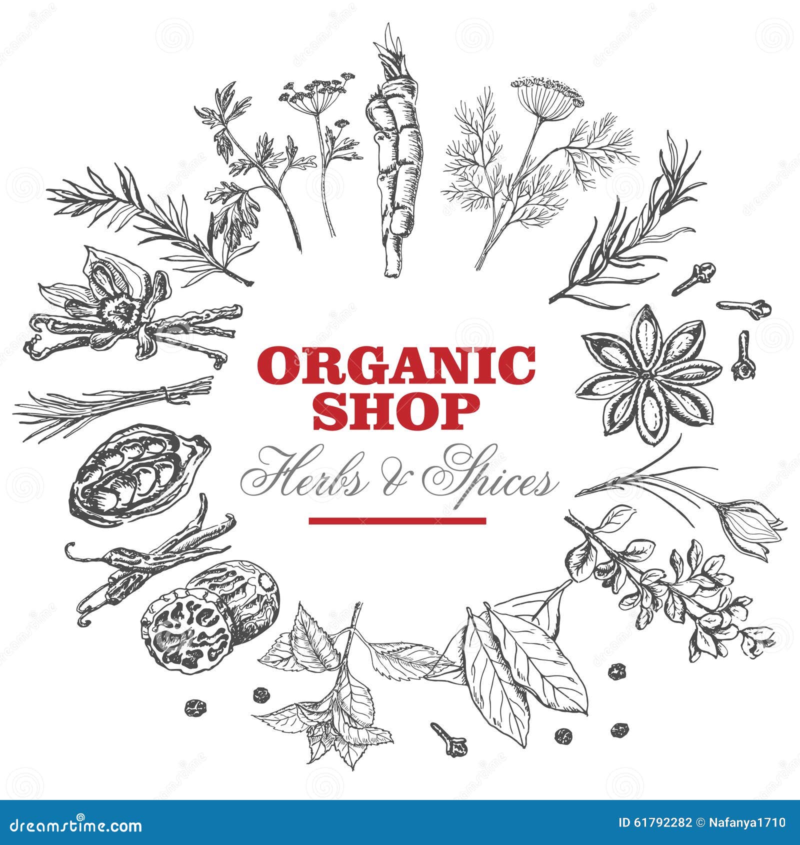 Vector Background with Isolated Spices in a Circle and an Inscription ...