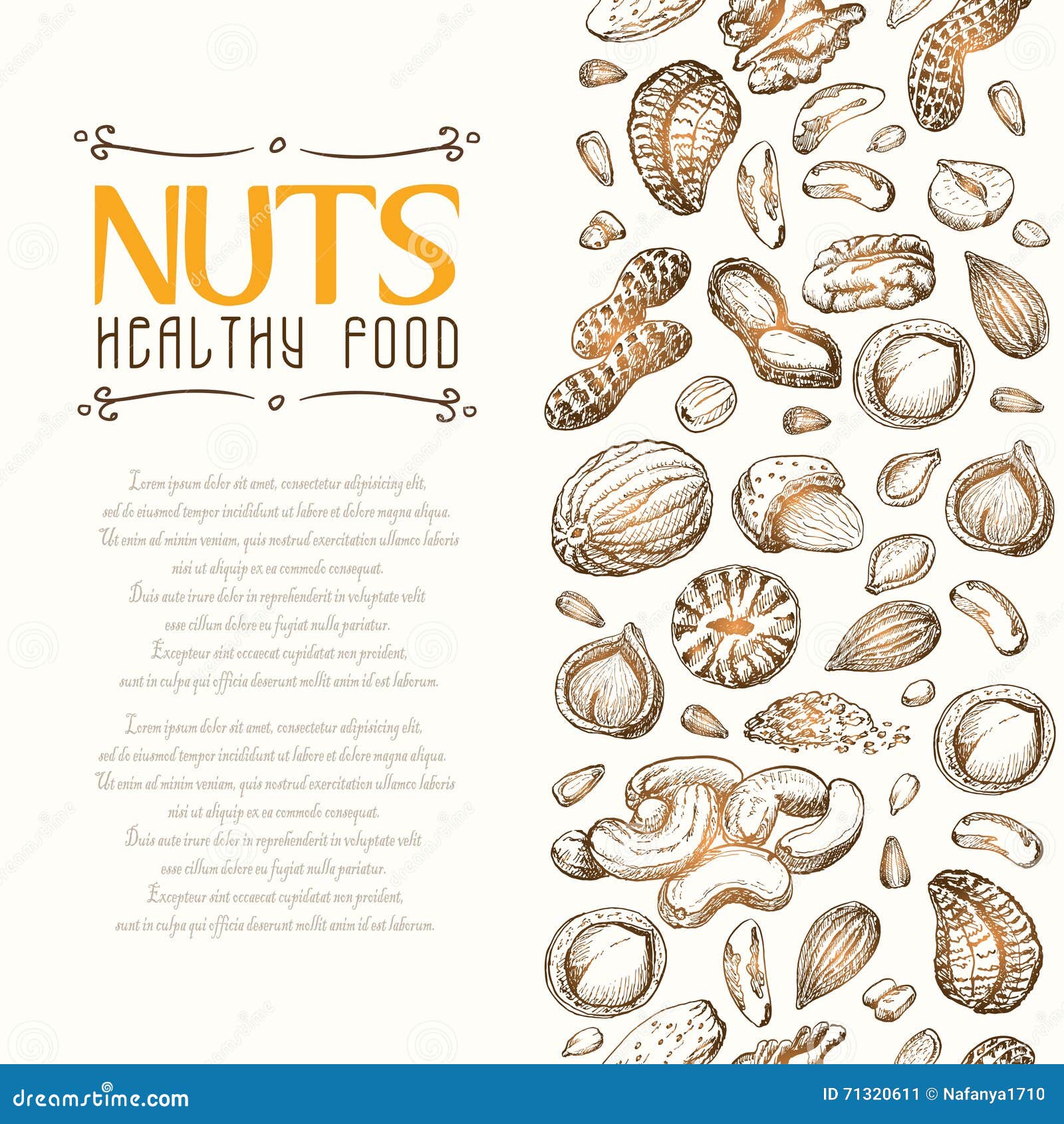 Vector Background with Nuts Arranged Vertically Stock Vector ...